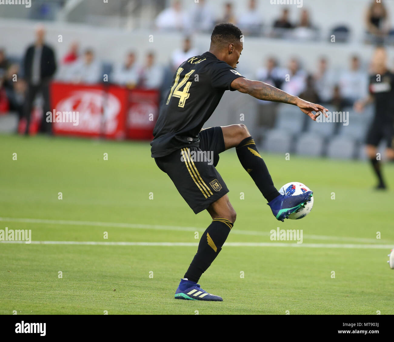 Kaye d hi-res stock photography and images - Alamy