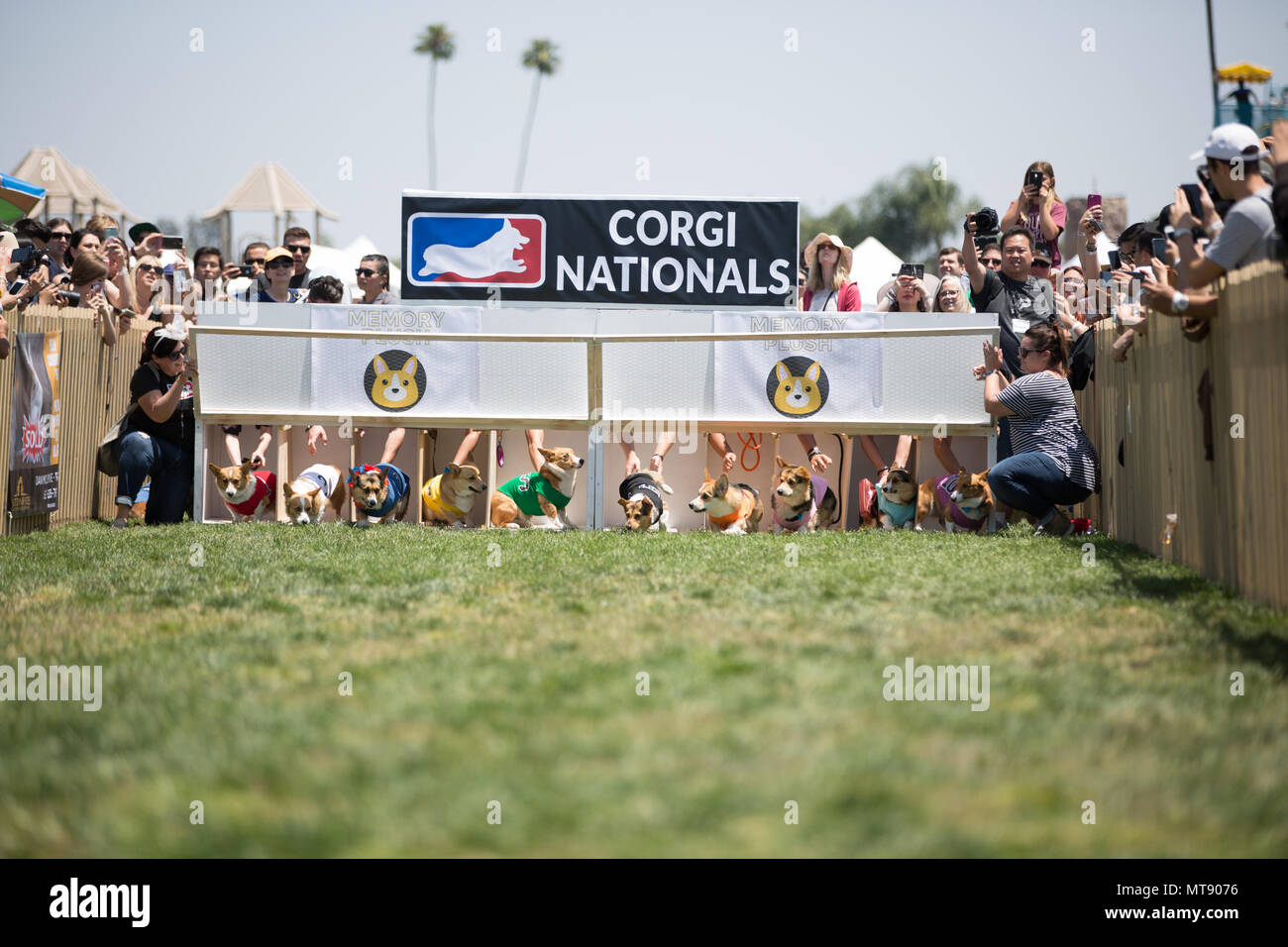 Costume race finish line hi-res stock photography and images - Alamy