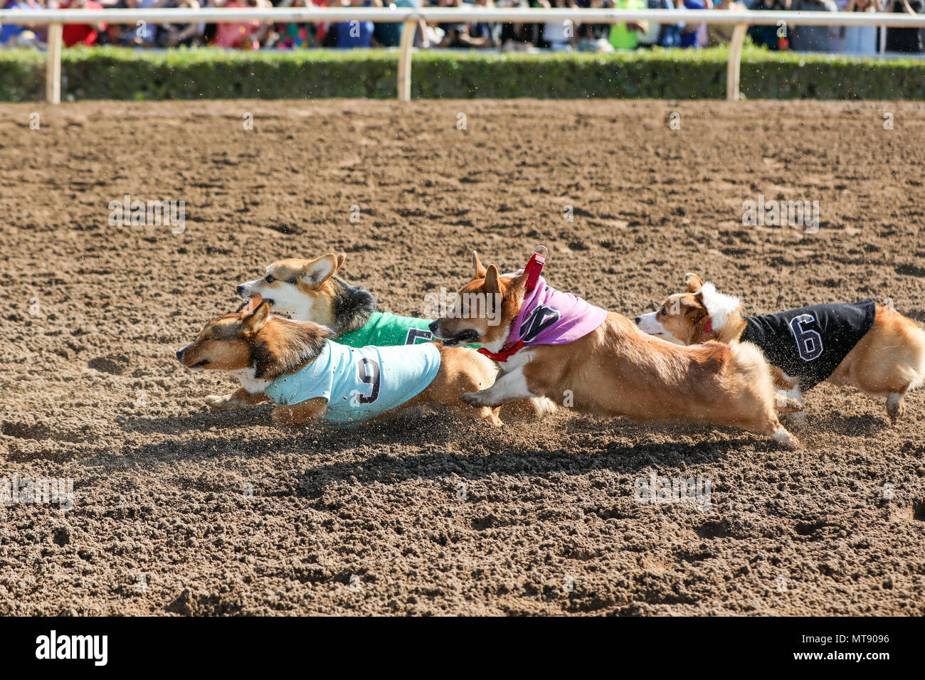 The hundred final winners hi-res stock photography and images - Alamy