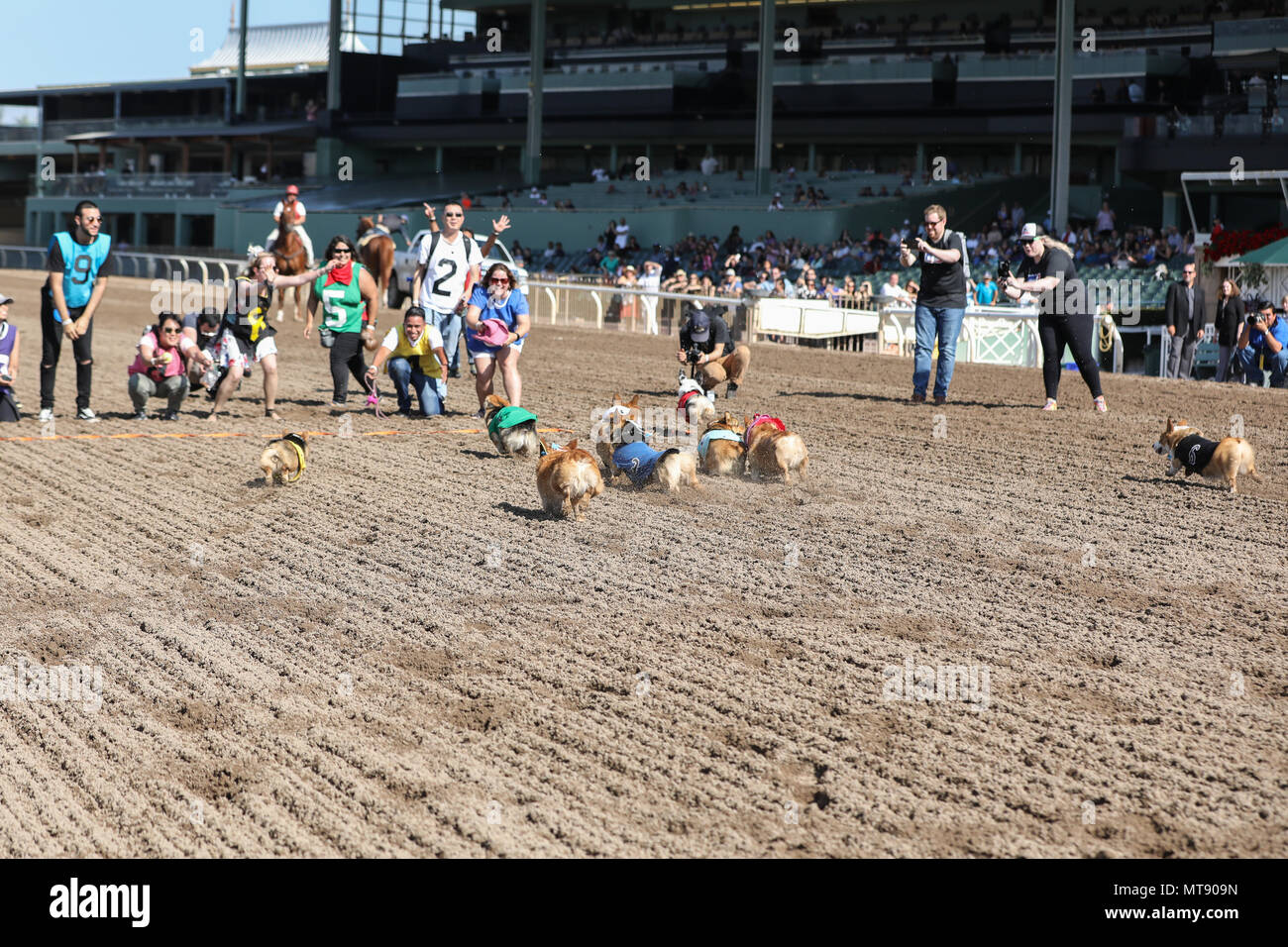 Infield area hi-res stock photography and images - Alamy