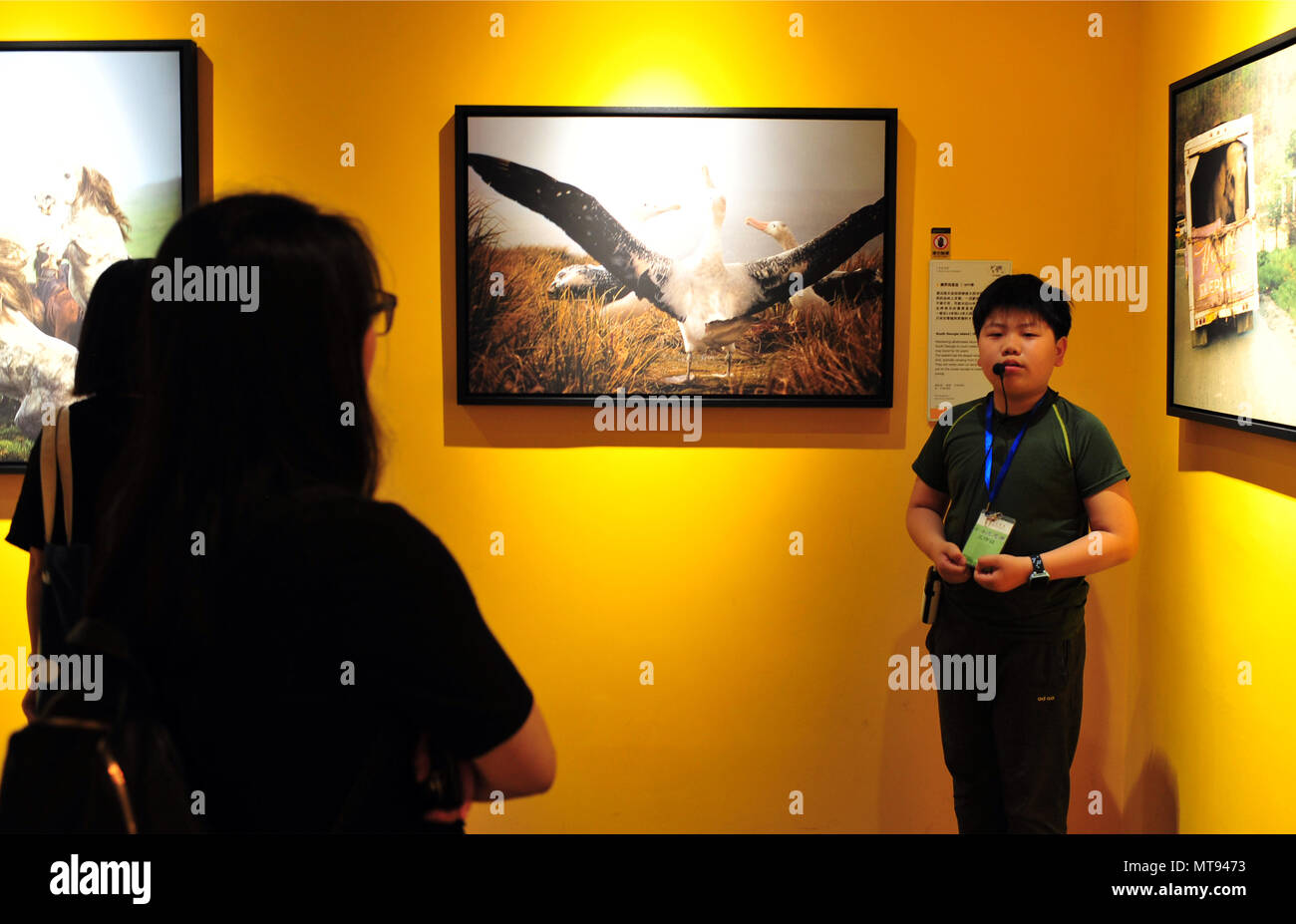 Beijin, Beijin, China. 26th May, 2018. Beijing, CHINA-26th May 2018 ...