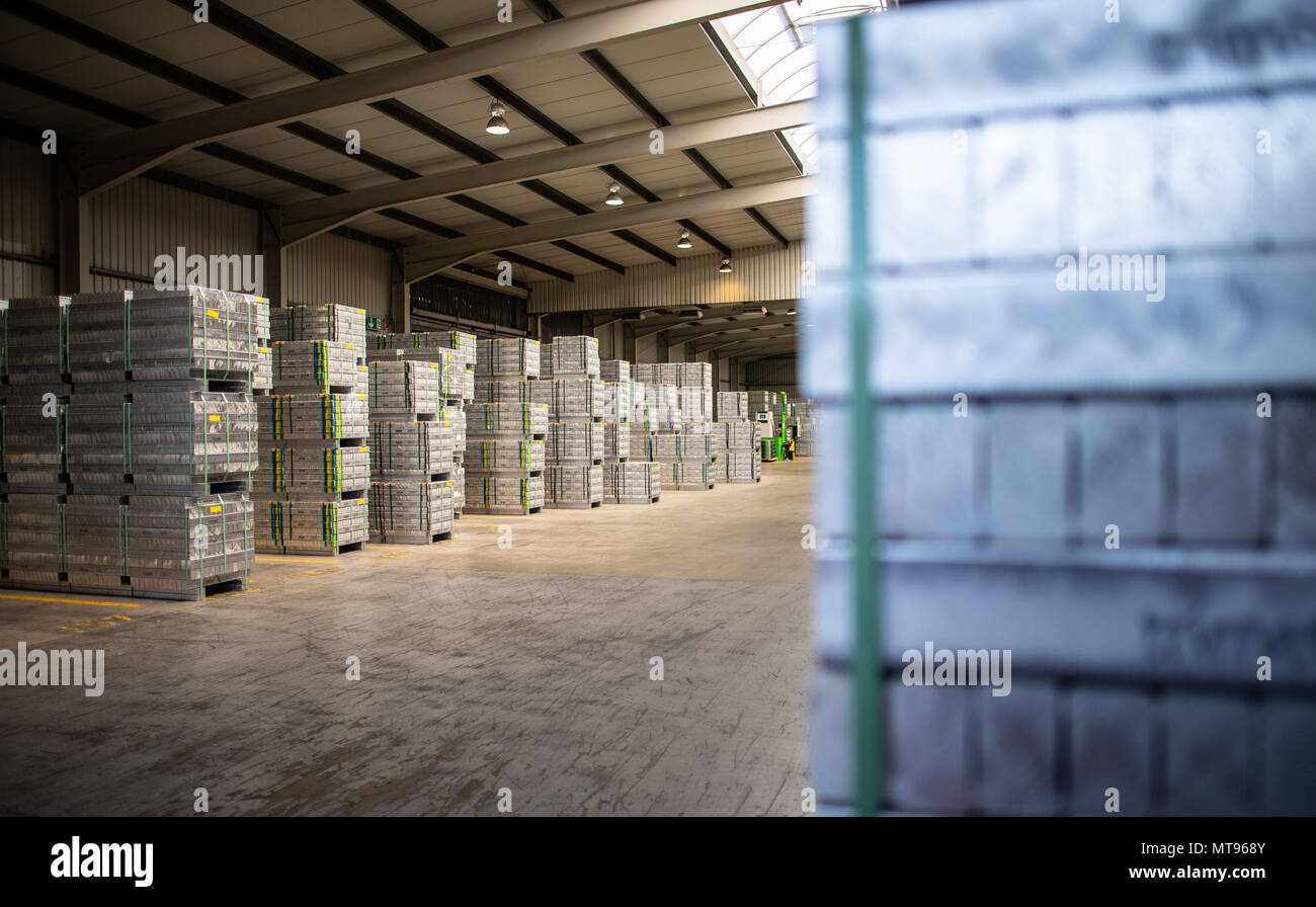 Production of aluminium at TRIMET Aluminium SE in Essen, North Rhine ...