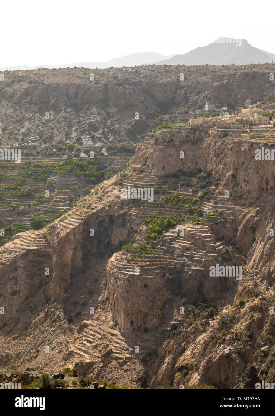 Old village with terraces to grow roses, Jebel Akhdar, Sayq, Oman Stock ...