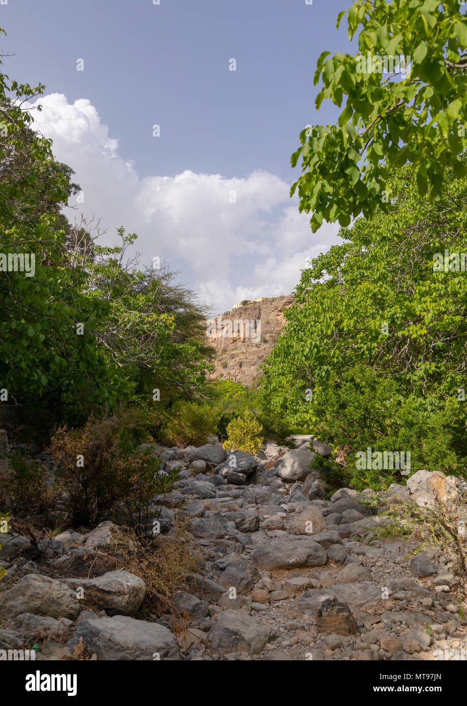 Dry wadi, Jebel Akhdar, Wadi Bani Habib, Oman Stock Photo - Alamy