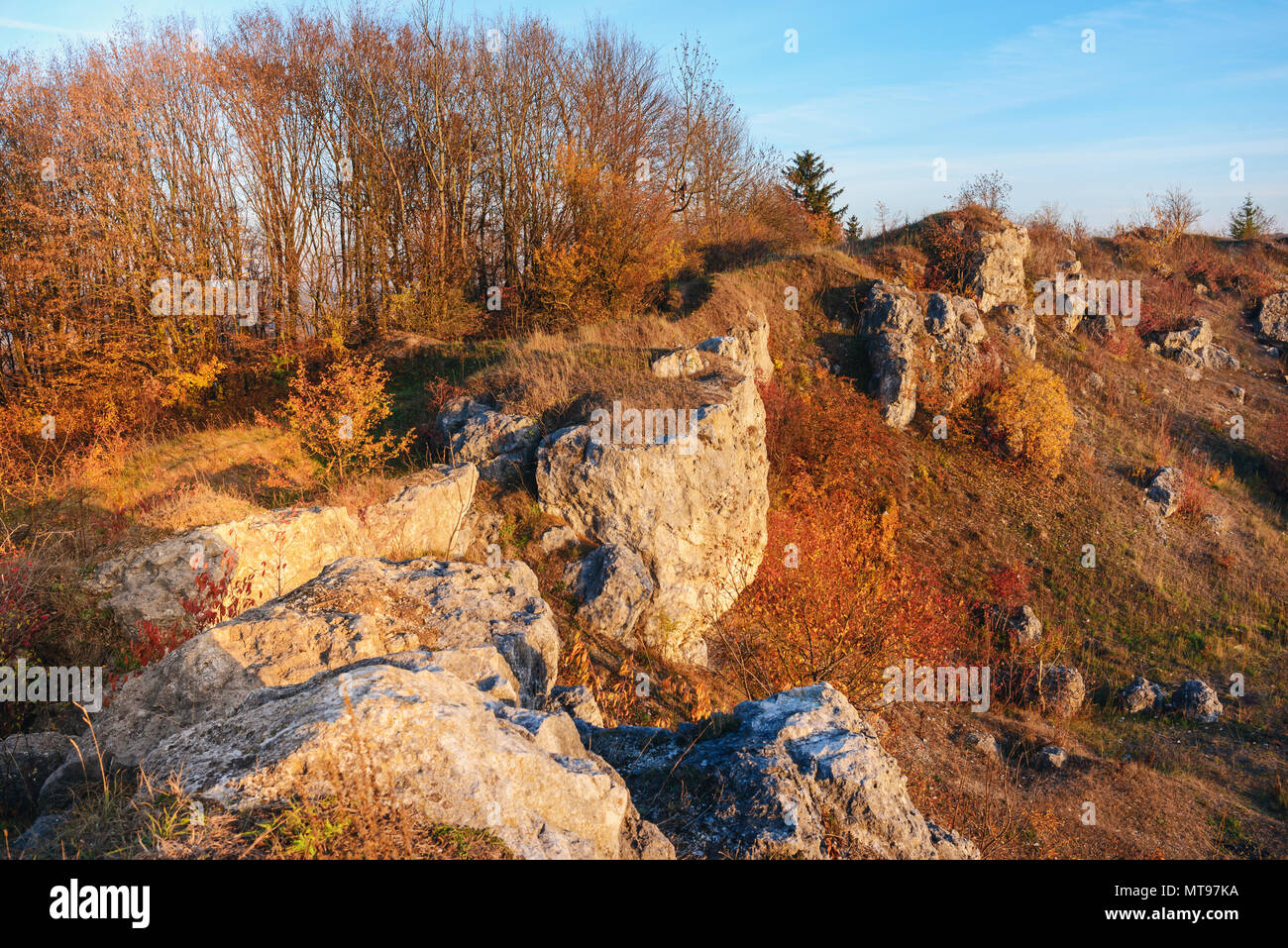 View on the beautiful colorful autumn landscape of the hills with trees ...