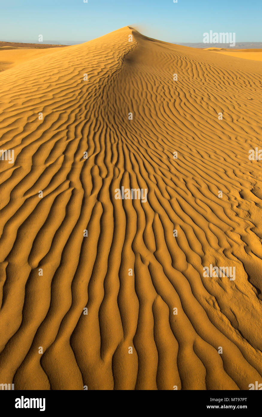 Sand blowing over sand dunes in wind Stock Photo - Alamy