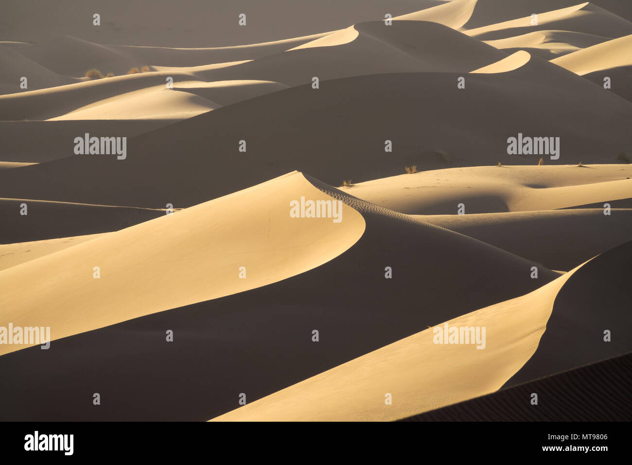 Background with sandy dunes in desert Stock Photo - Alamy