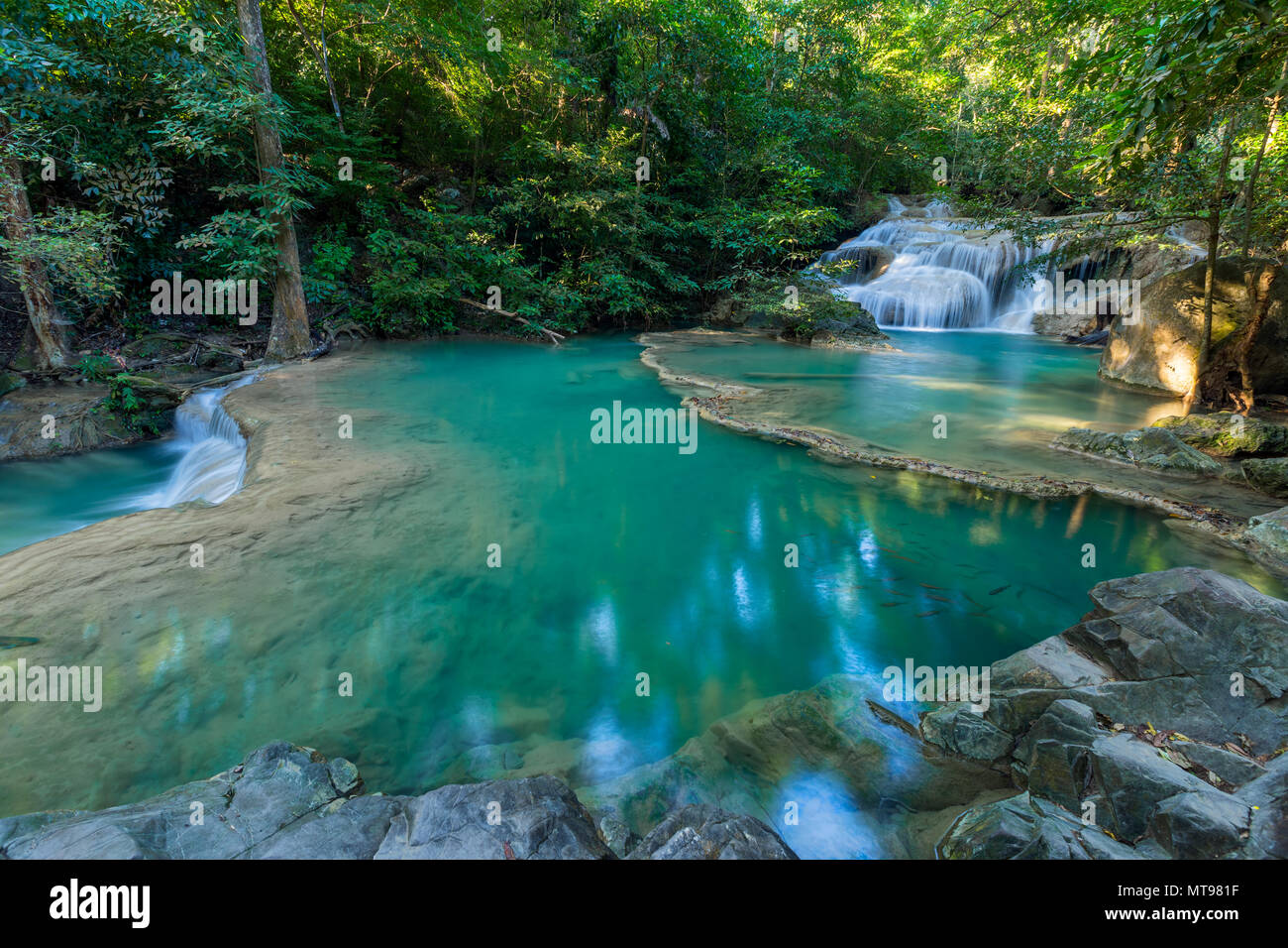 Waterfall fish in blue water hi-res stock photography and images - Alamy