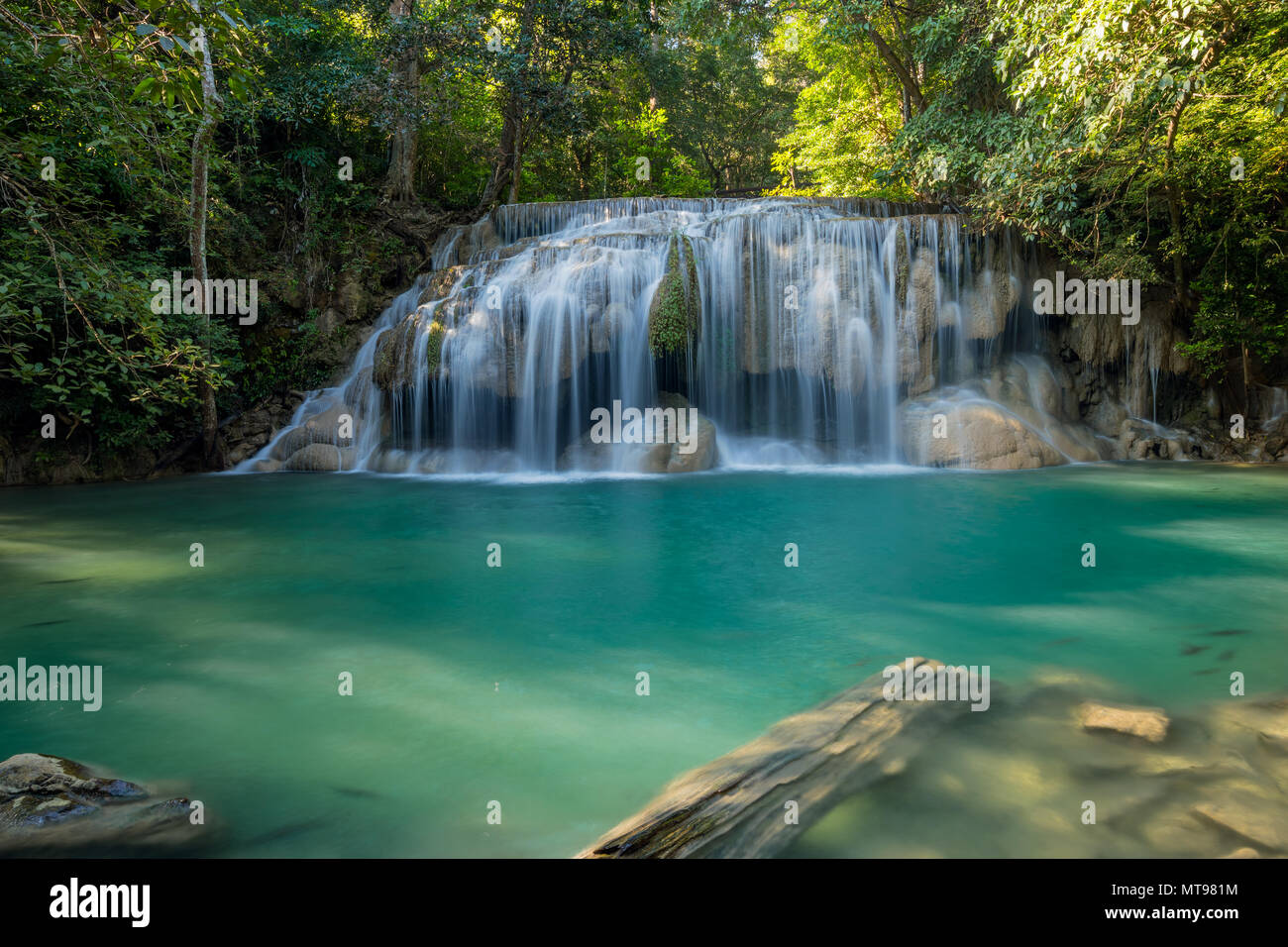 Water fall fish hi-res stock photography and images - Alamy