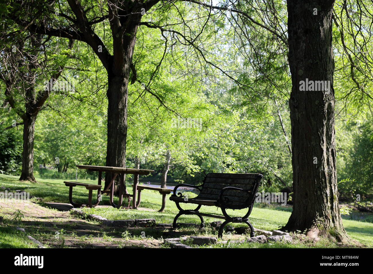 Some relaxing moments in the park Stock Photo - Alamy