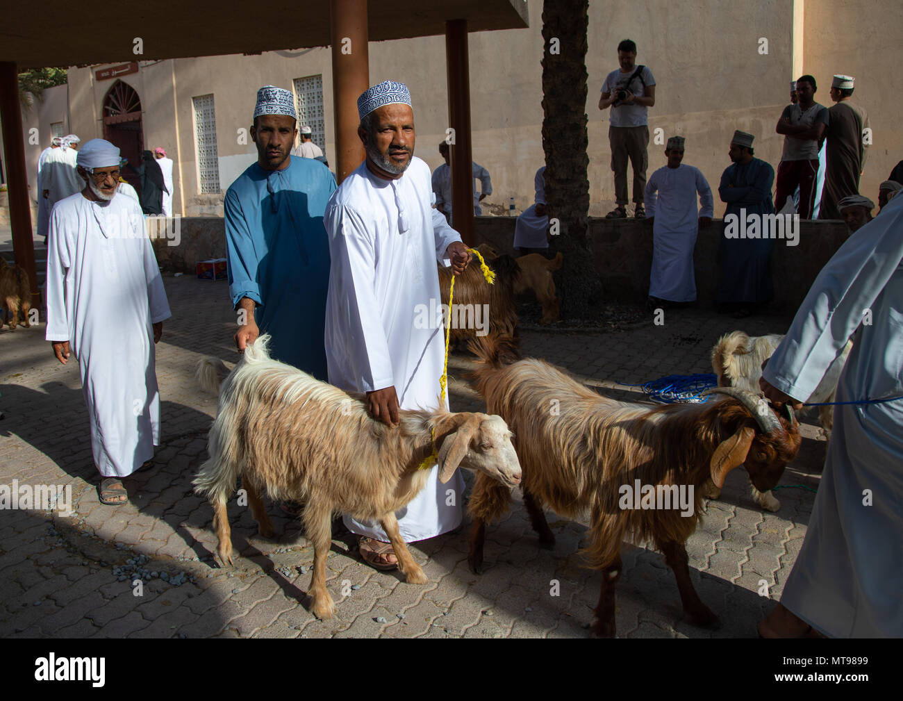 Omani men selling and buying cattle in the market, Ad Dakhiliyah Region ...
