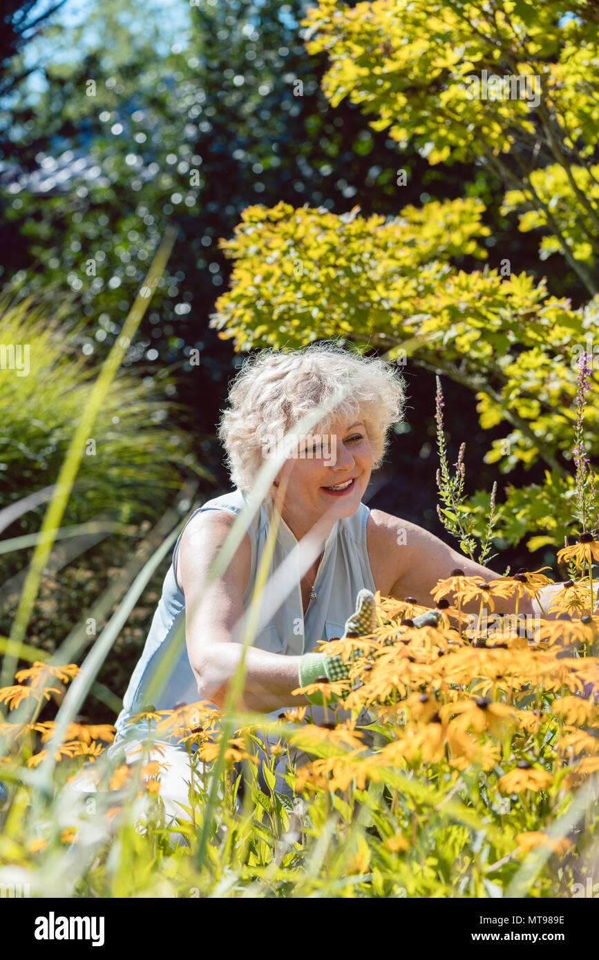 Woman retirement hi-res stock photography and images - Alamy