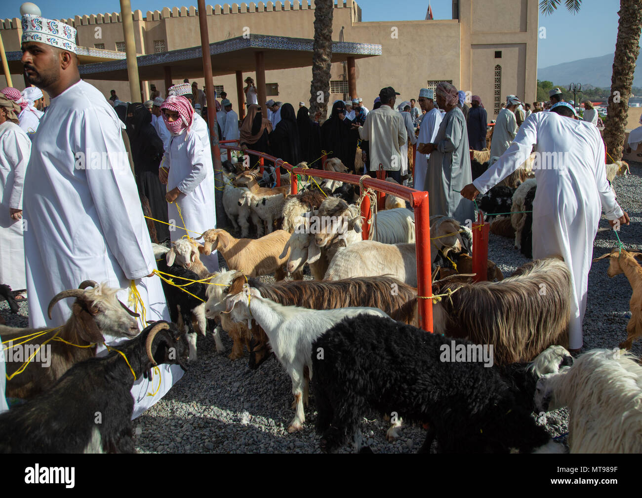 Omani men women in traditional hi-res stock photography and images - Alamy
