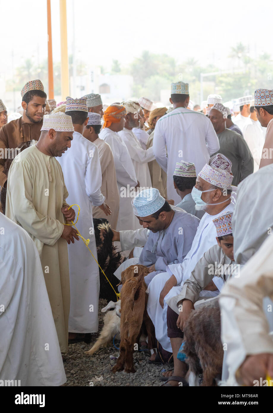 Oman18 146 hi-res stock photography and images - Alamy