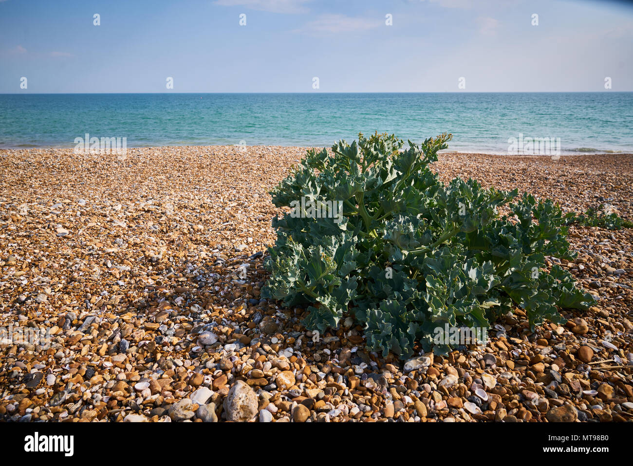 east preston beach Stock Photo - Alamy