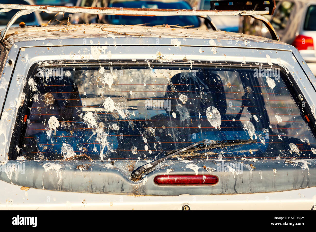 Very dirty car with bird droppings. Car covered with bird poop. Bad ...
