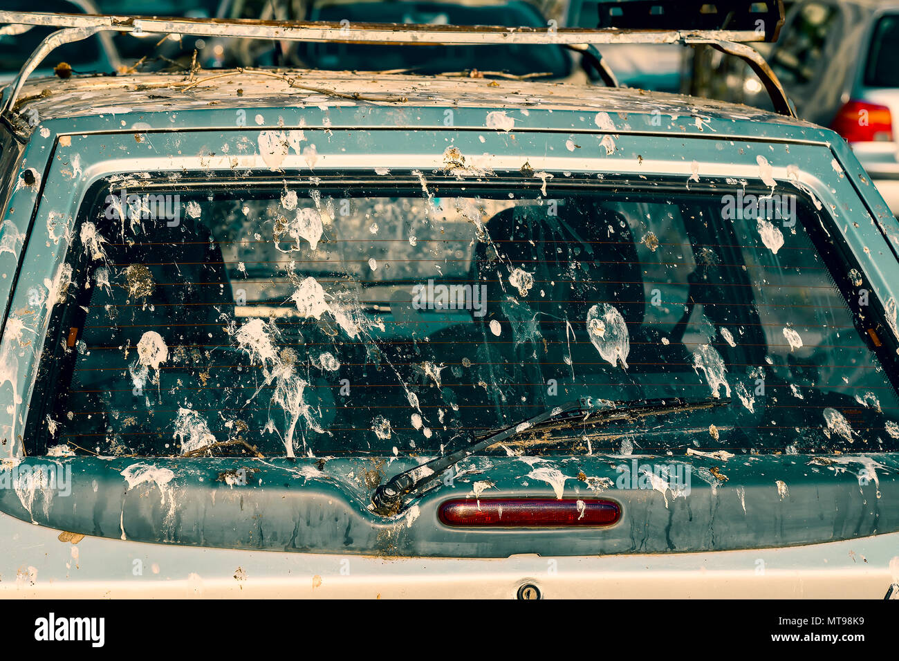Very dirty car with bird droppings. Car covered with bird poop. Bad ...