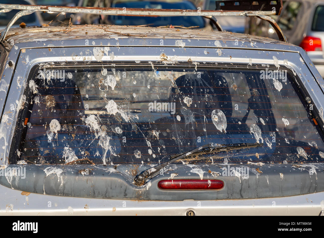 Very dirty car with bird droppings. Car covered with bird poop. Bad ...