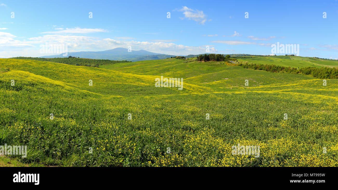 Green panorama fields on hills hi-res stock photography and images - Alamy