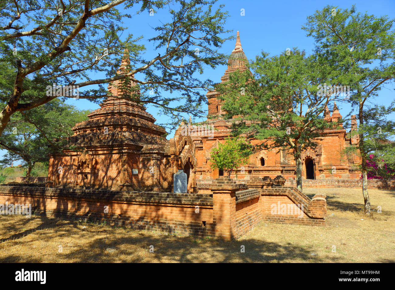 Trees of bagan hi-res stock photography and images - Alamy