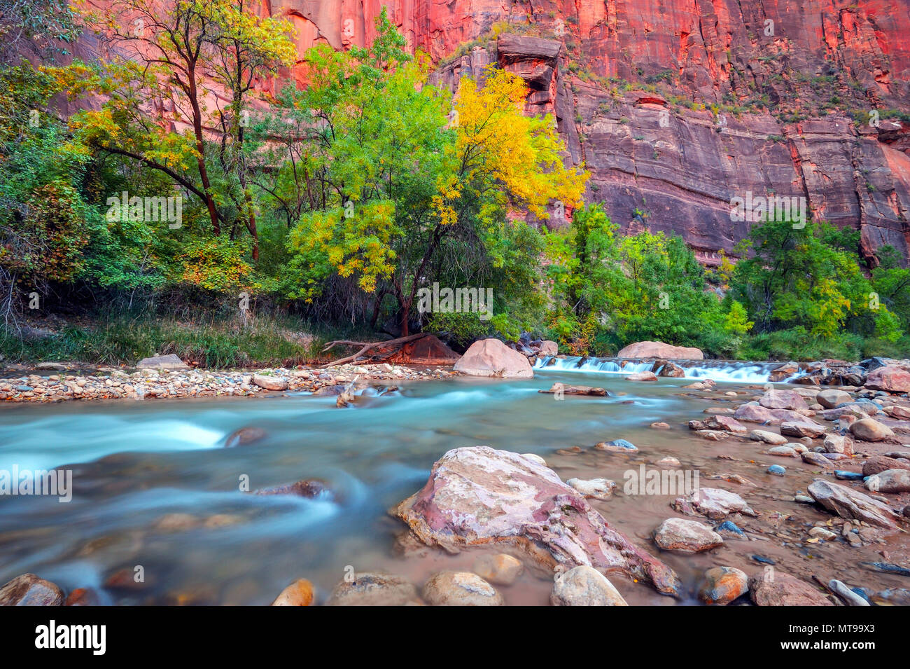 Zion fall colours hi-res stock photography and images - Alamy