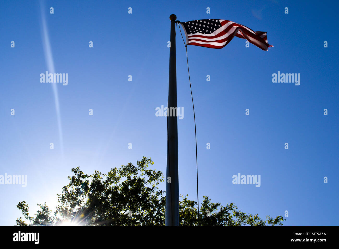 American flag blowing in the breeze, Looking skyward with the sunlight ...