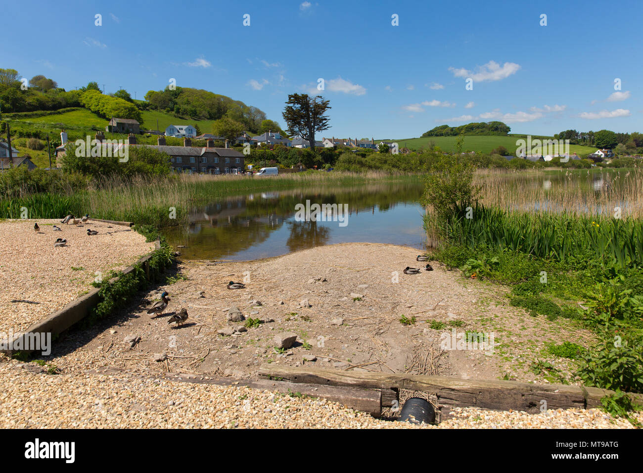 Slapton Ley nature reserve Torcross near Slapton Sands Devon UK Stock ...
