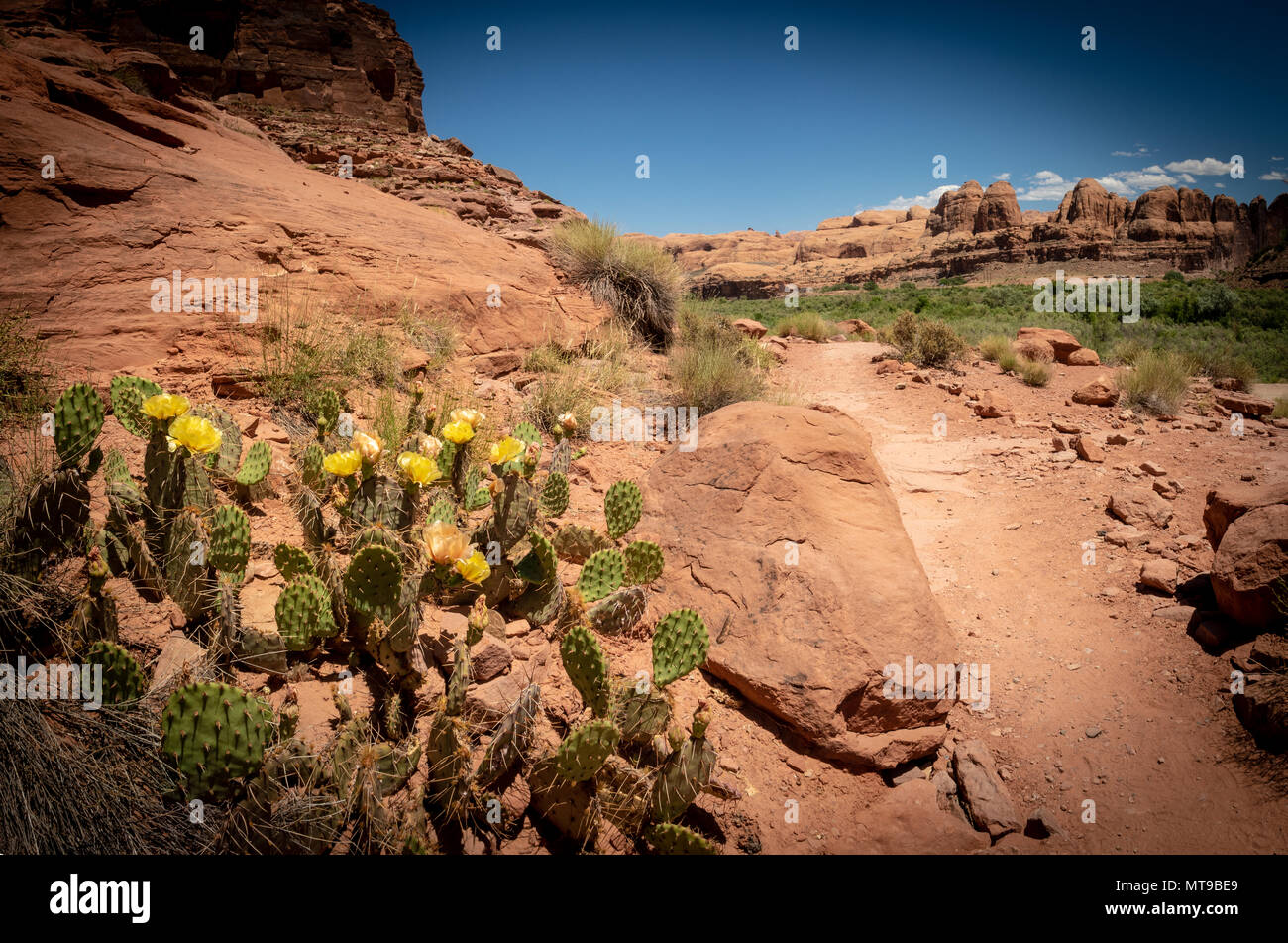 Poison Spider Trail, Moab, Utah, USA Stock Photo - Alamy