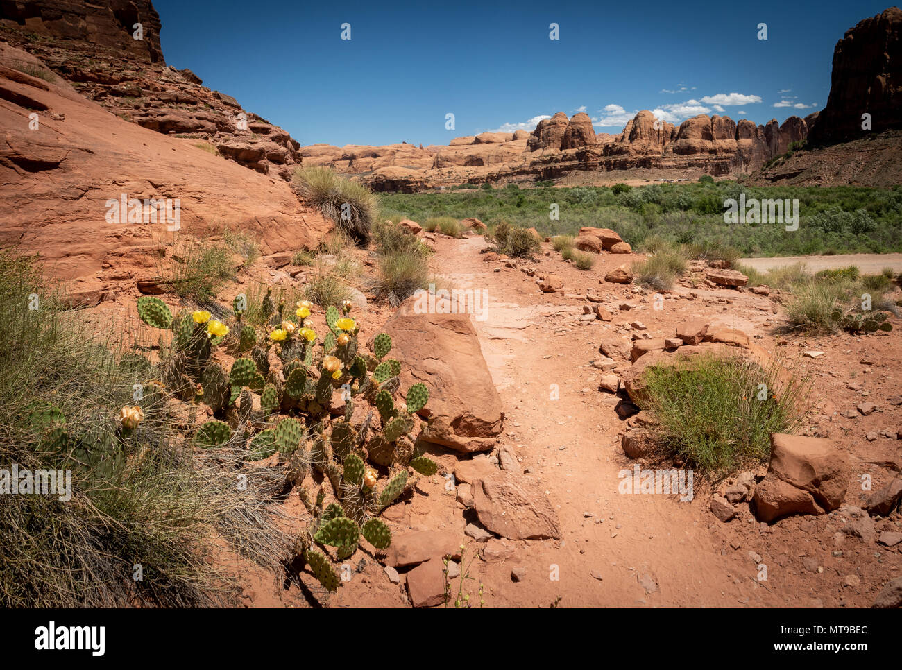 Poison Spider Trail, Moab, Utah, USA Stock Photo - Alamy