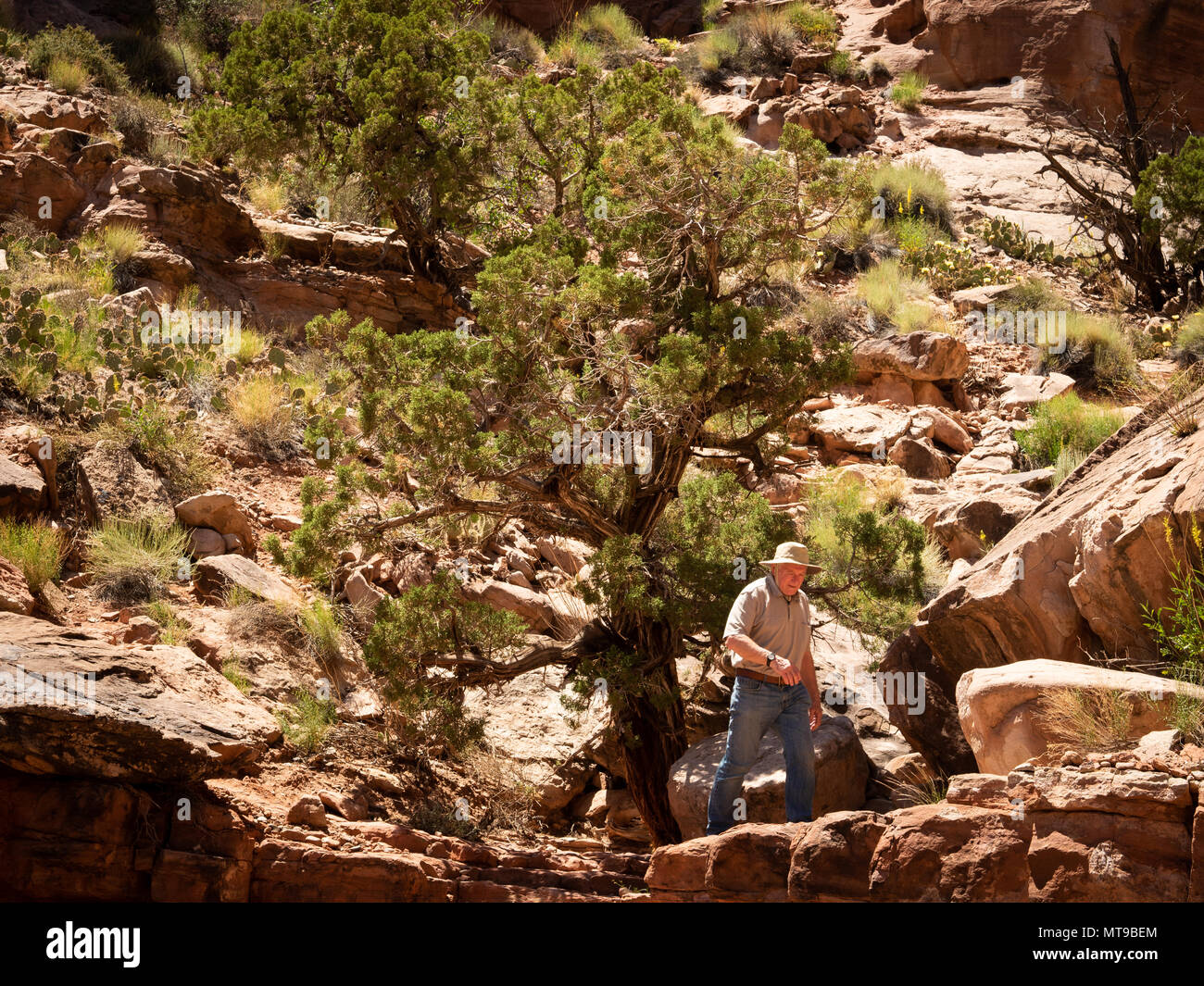 Poison Spider Trail, Moab, Utah, USA Stock Photo - Alamy