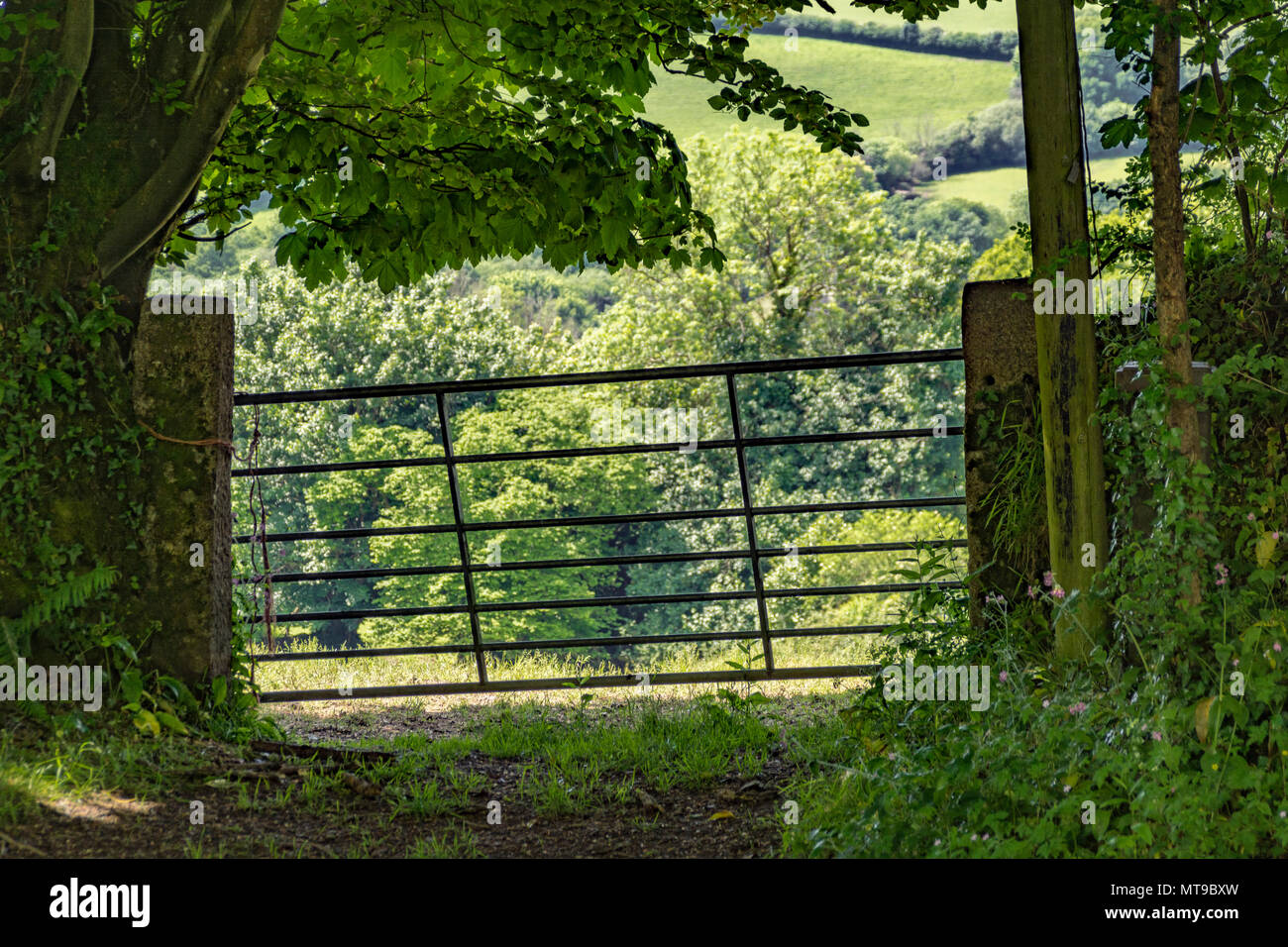 Closed farm / field gate silhouetted against sunlit countryside beyond ...