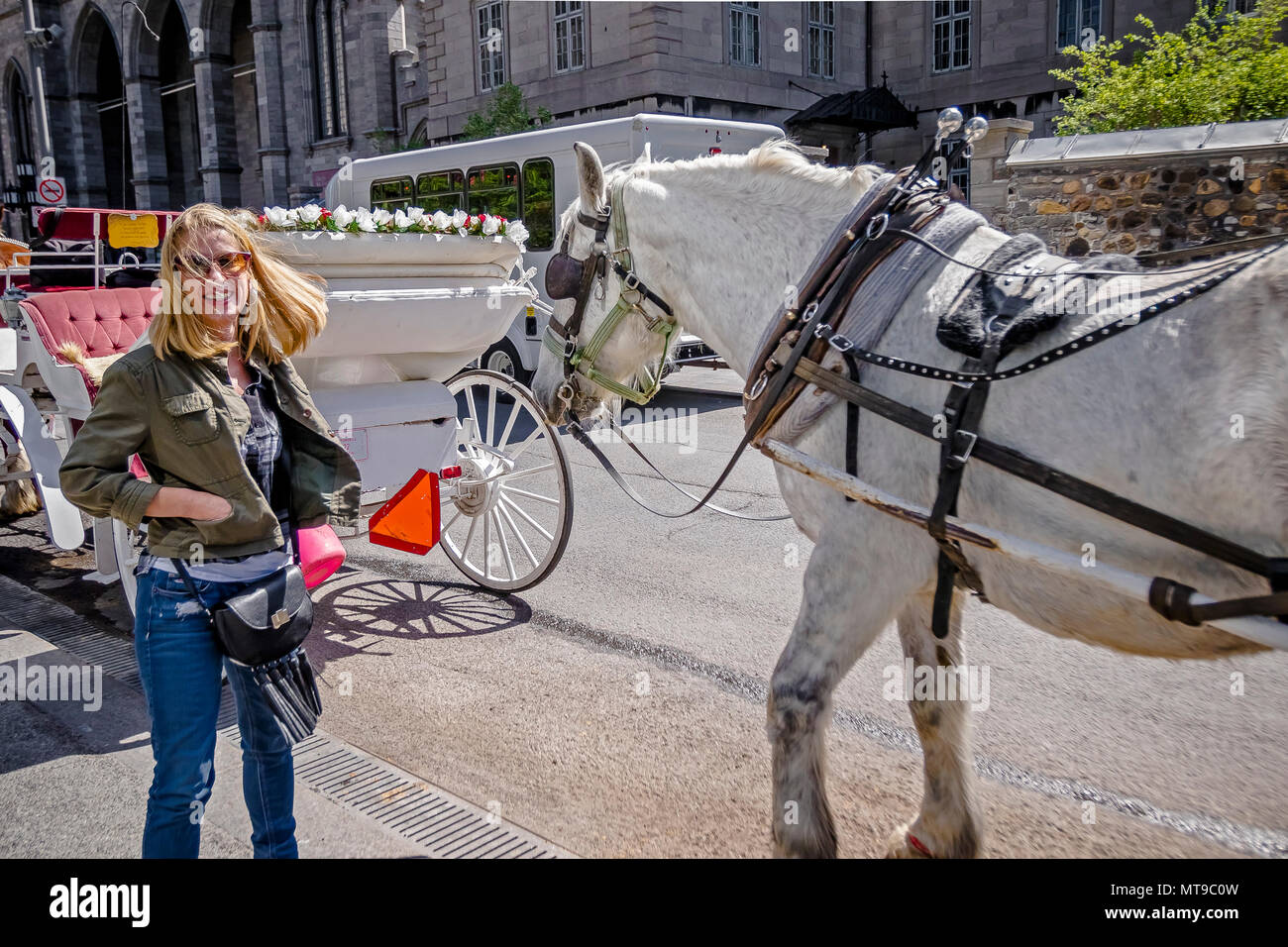 Montreal horse carriage hi-res stock photography and images - Alamy