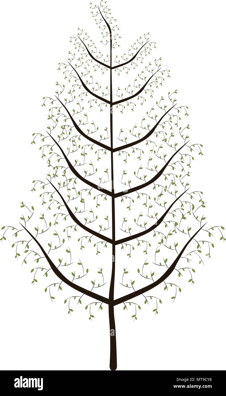 Isolated tree icon Stock Vector Image & Art - Alamy