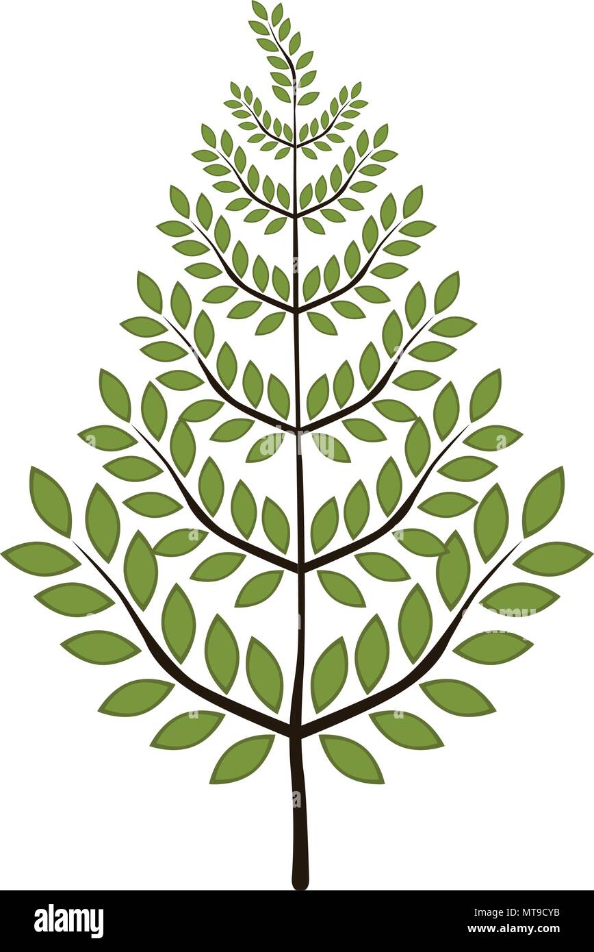 Isolated tree icon Stock Vector Image & Art - Alamy