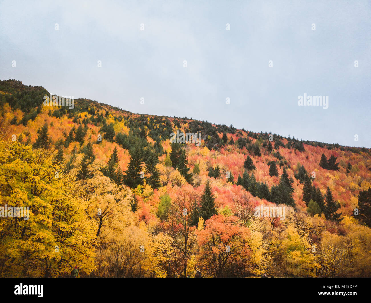 Autumn in arrowtown, Queenstown New Zealand landscape Stock Photo - Alamy