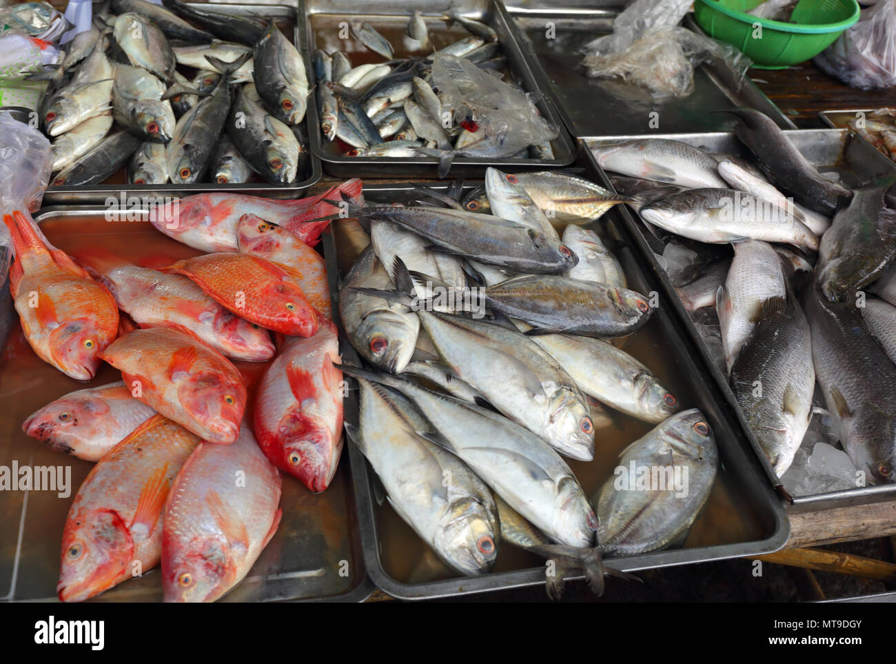 Fresh fish on market counter Stock Photo - Alamy