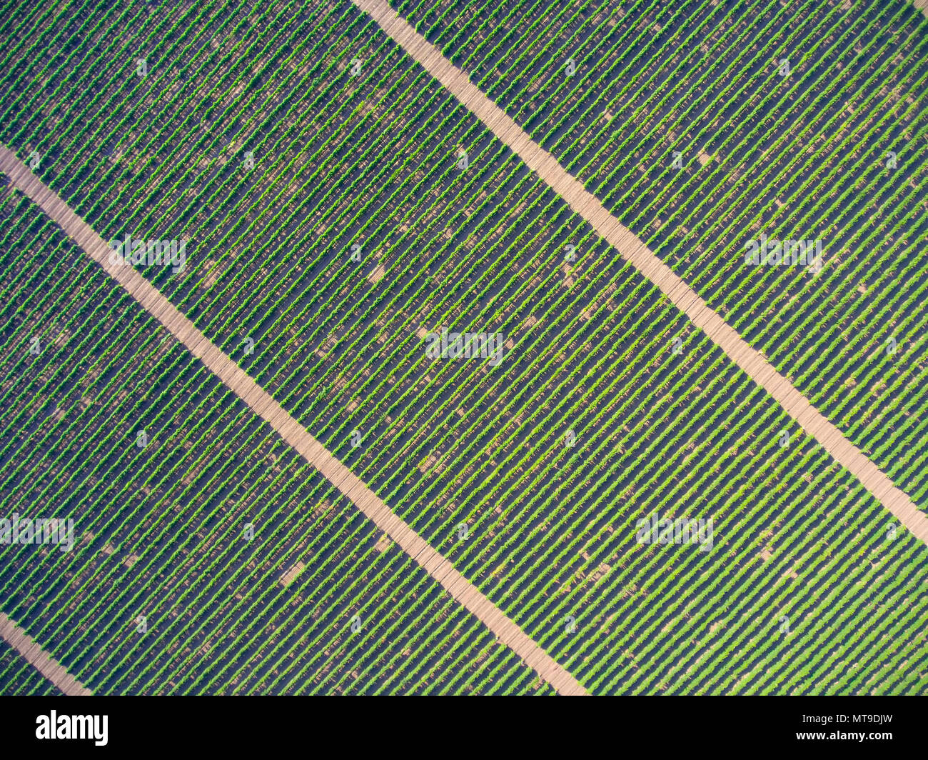 Summer winery view aerial hi-res stock photography and images - Alamy