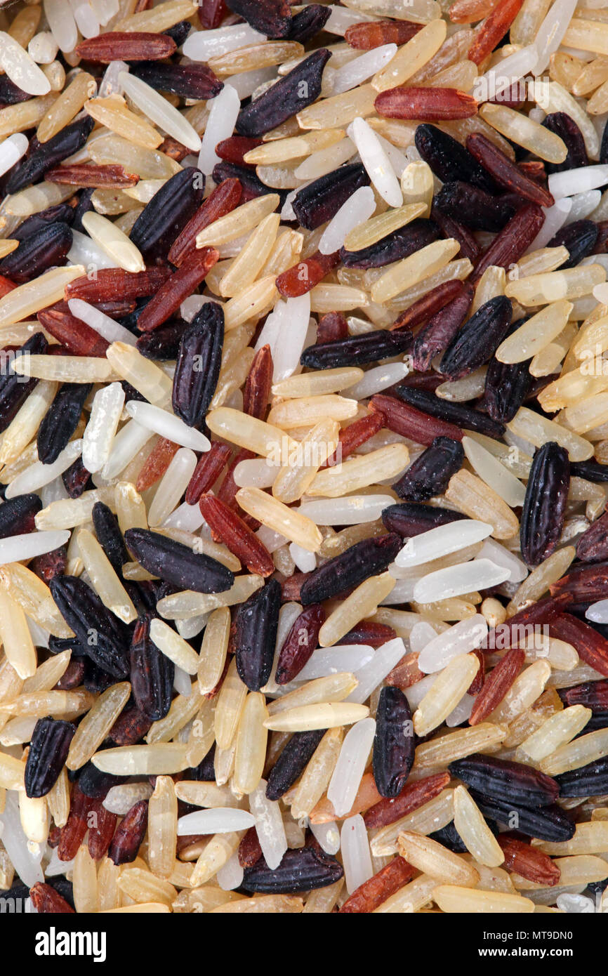 rice grain multicolor background Stock Photo - Alamy