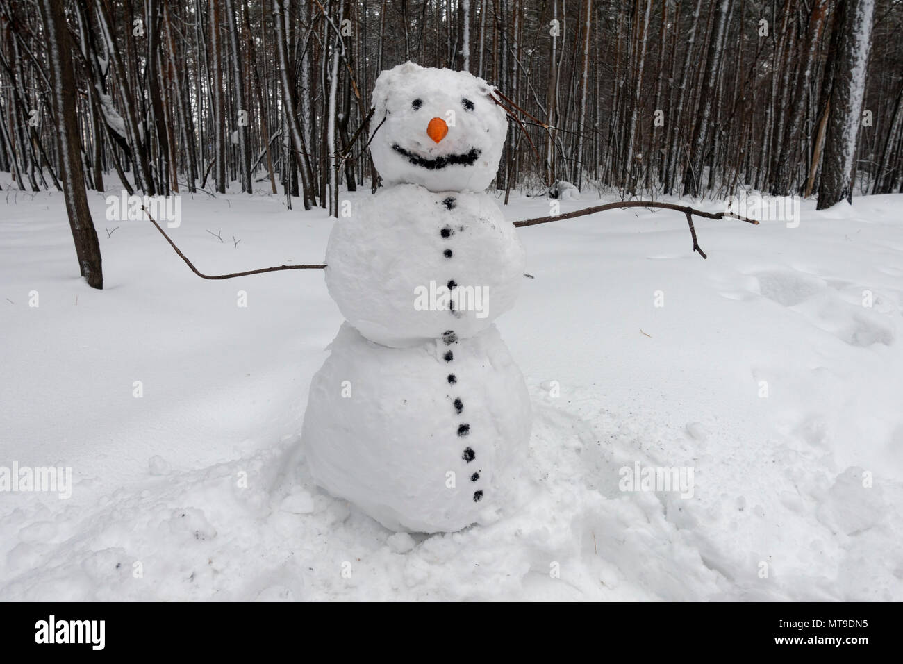 Snowman in winter forest hi-res stock photography and images - Alamy