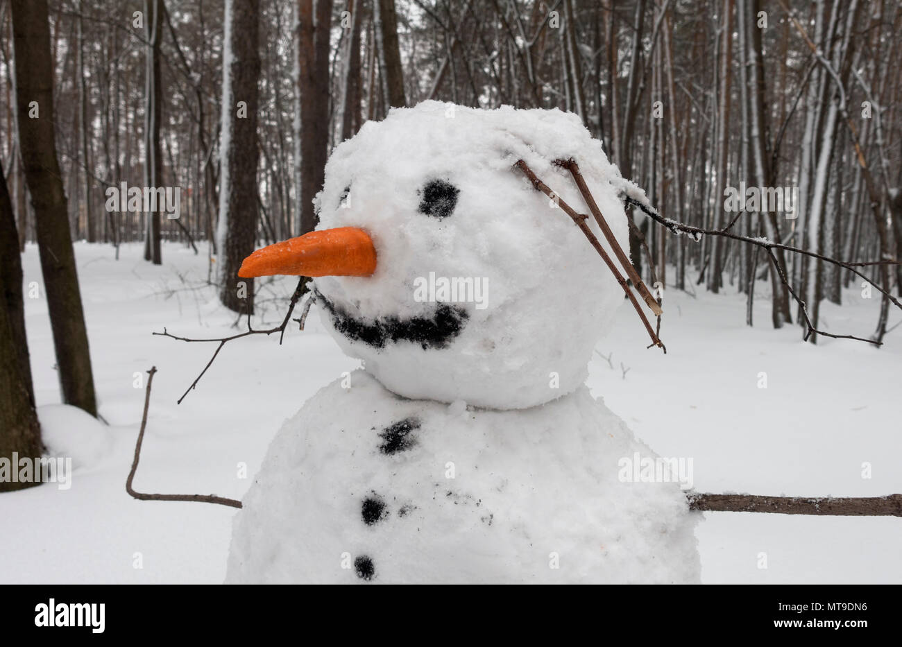 Winter scene christmas theme hi-res stock photography and images - Alamy