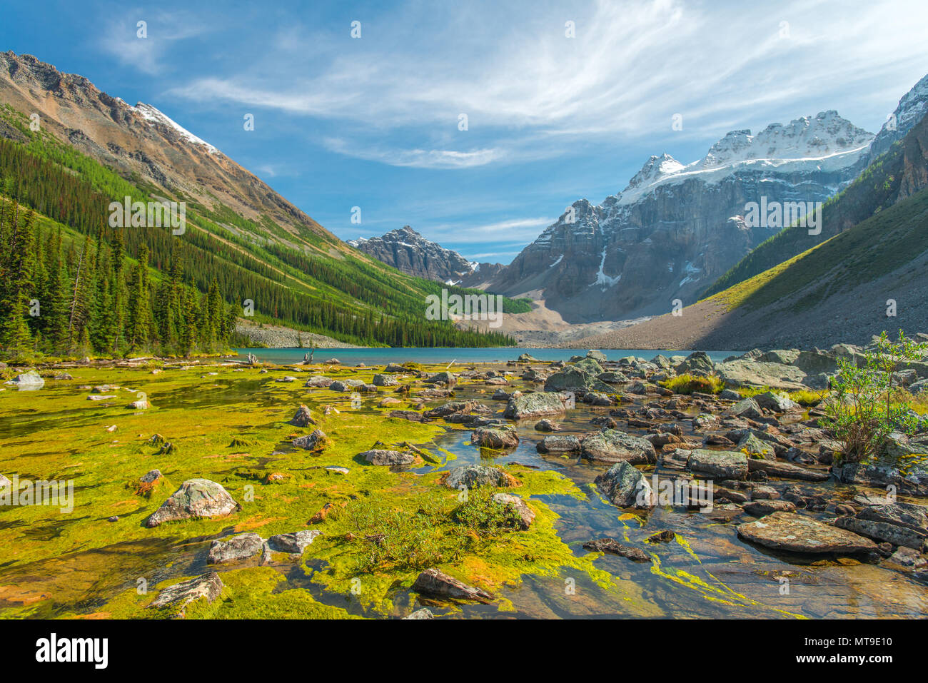 Hike to Consolation lakes, Mount Babel and glaciers, snow covering the ...