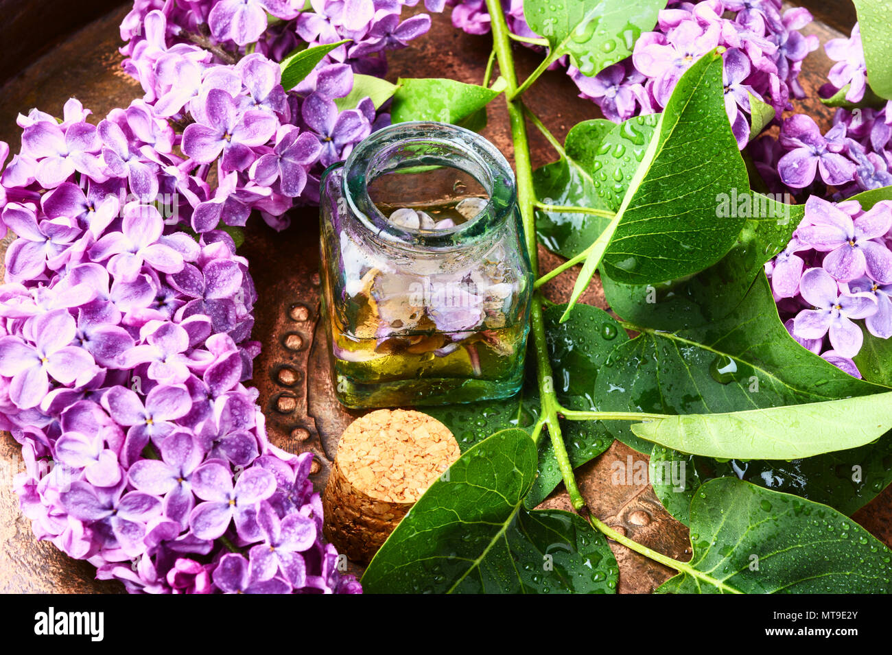 Bottle of essential extraction with lilac.Healing herbs.Alternative ...
