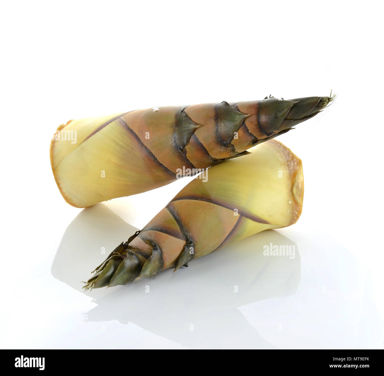 bamboo shoot isolated on white background Stock Photo - Alamy