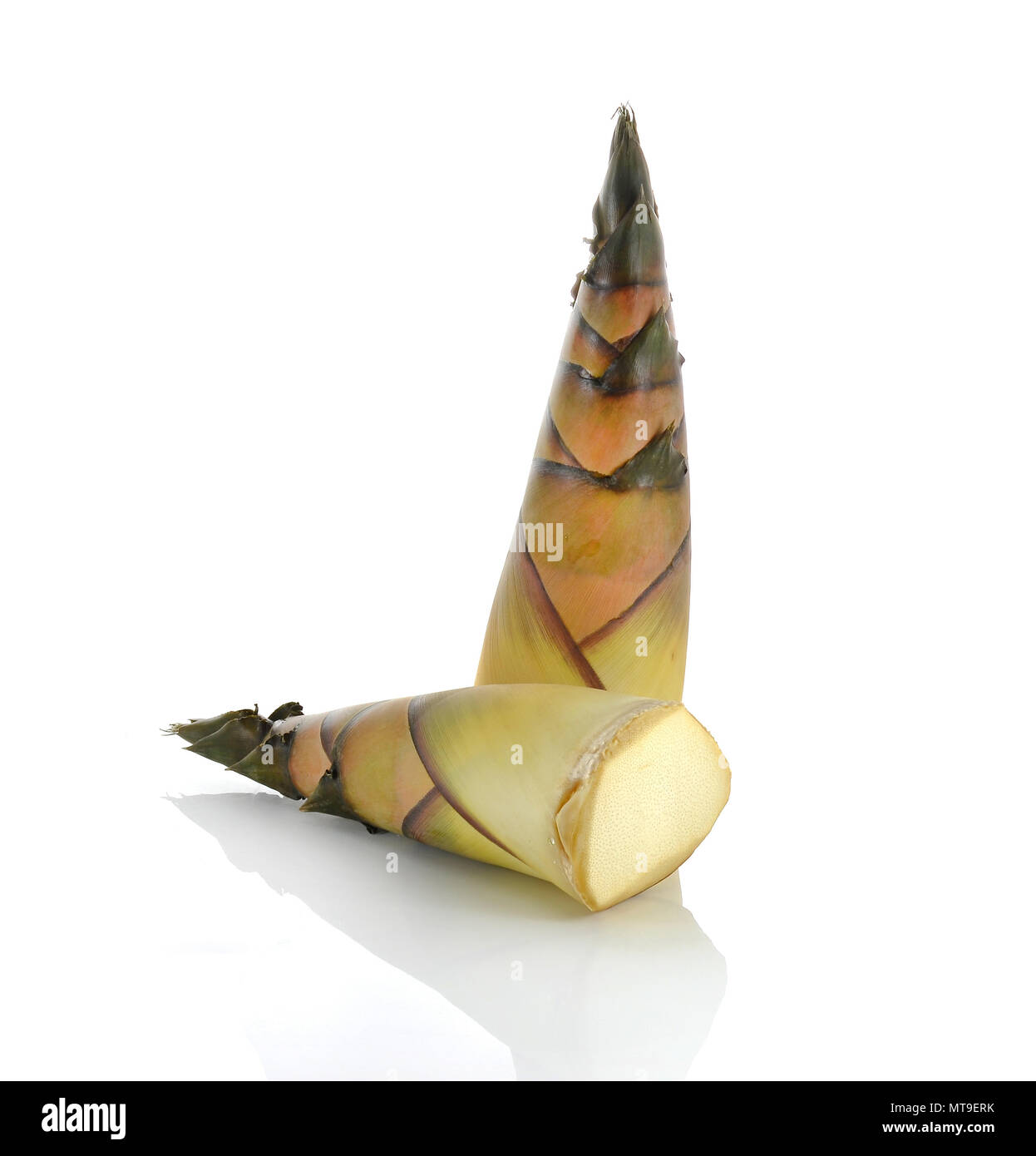 bamboo shoot isolated on white background Stock Photo - Alamy