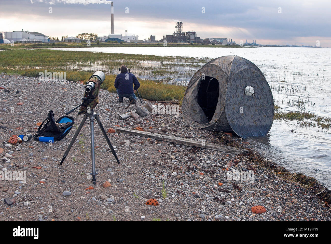 Bird blind/hide in an industrial landscape Stock Photo - Alamy