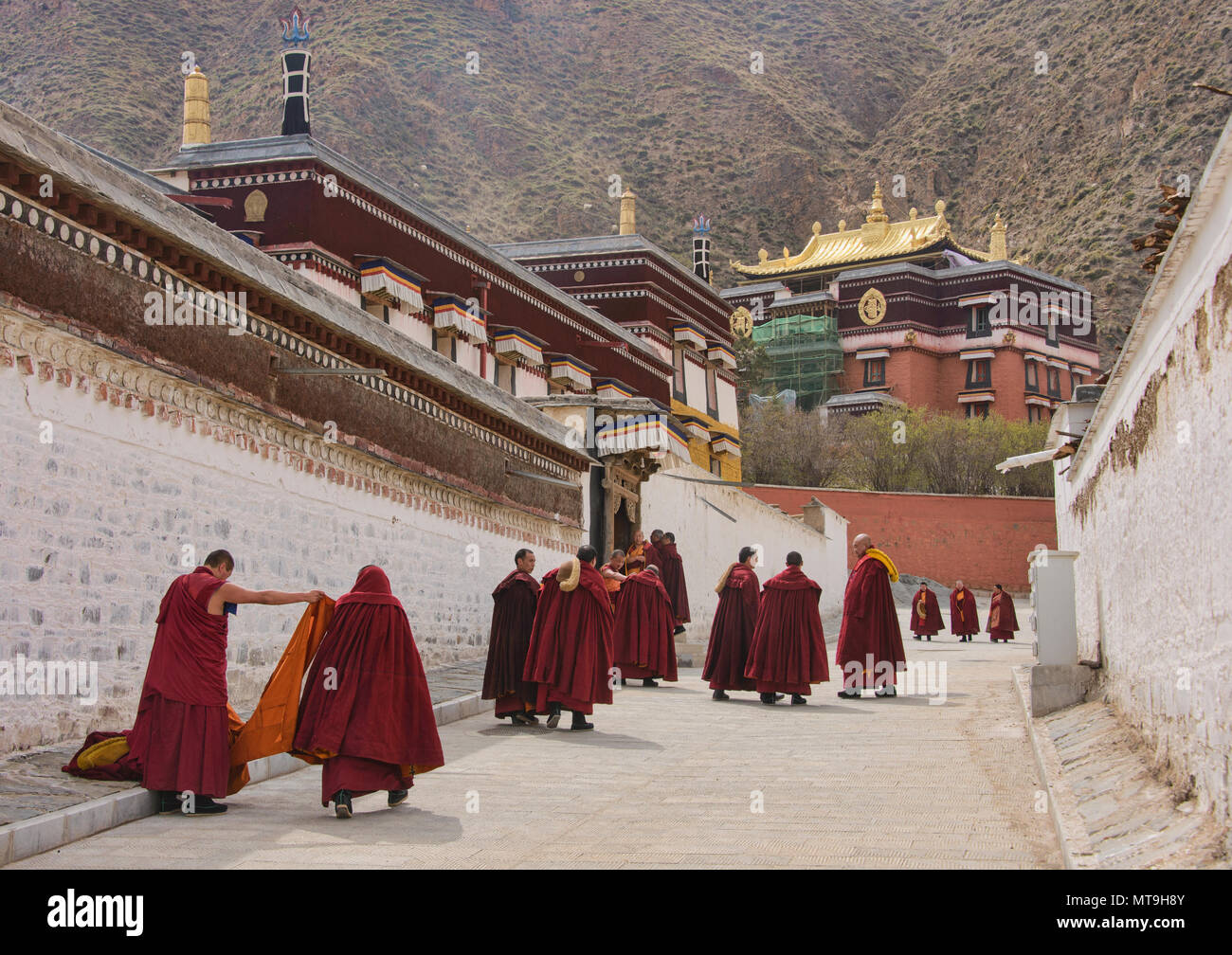 Buddhist monks at labrang hi-res stock photography and images - Alamy