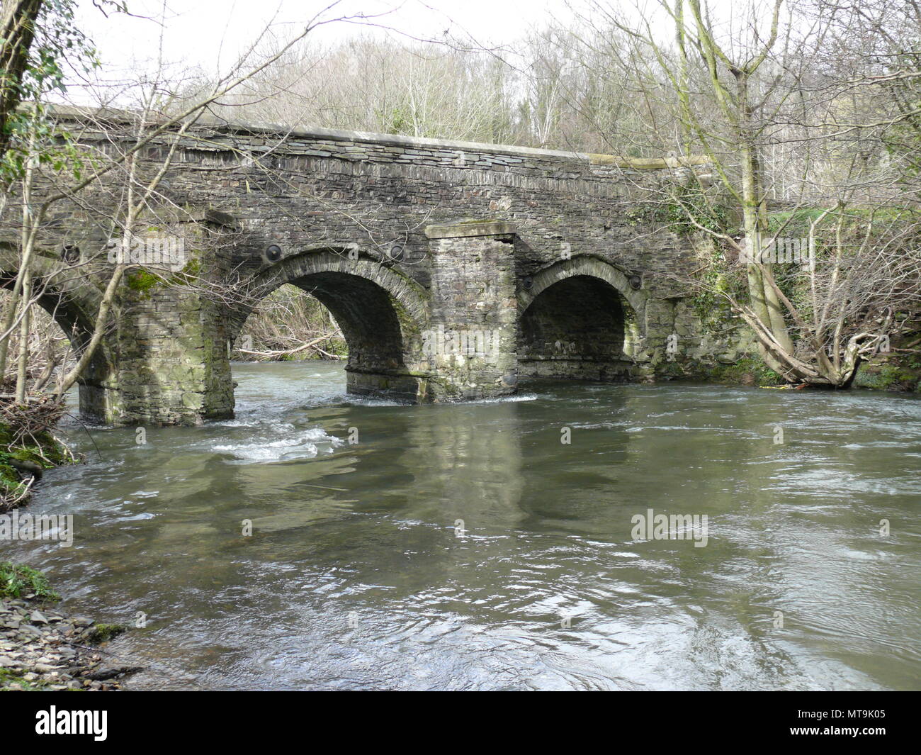 Landscape, Bridge over the River, near Lifton, Devon, England Stock ...