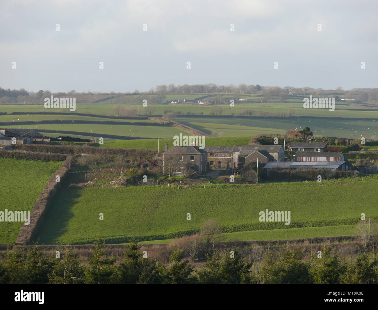 Lifton devon hi-res stock photography and images - Alamy
