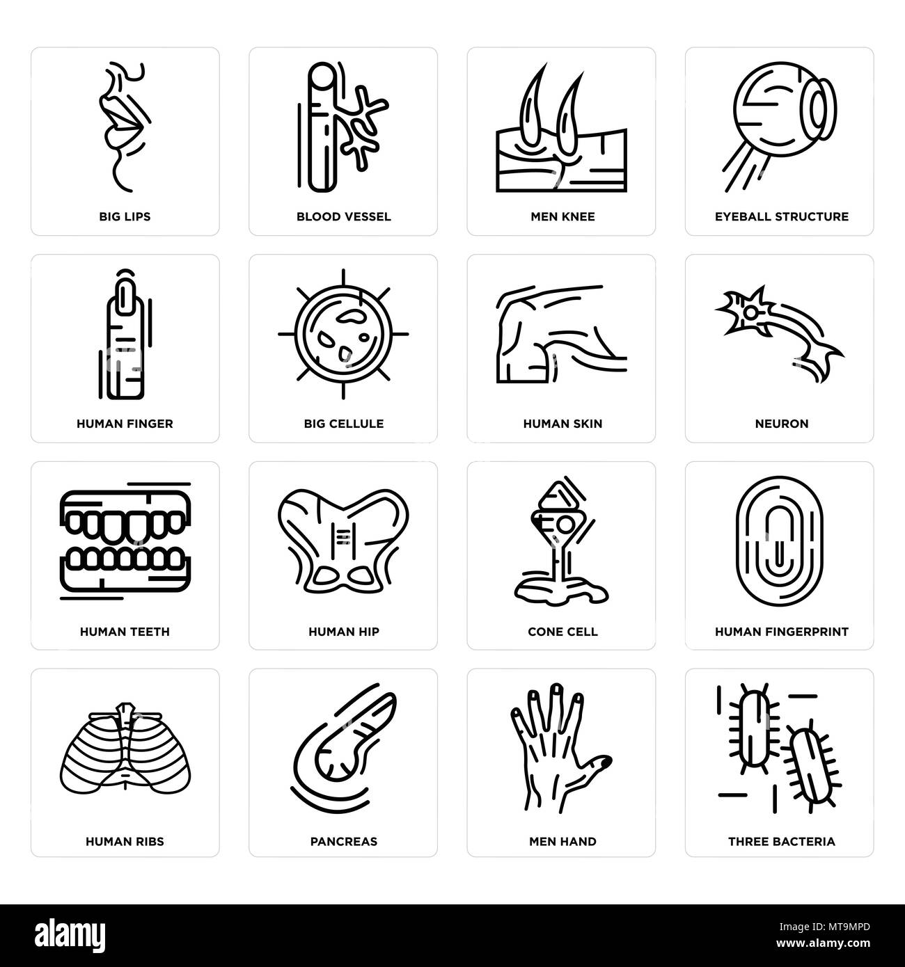 Cellulitis bacteria hi-res stock photography and images - Alamy