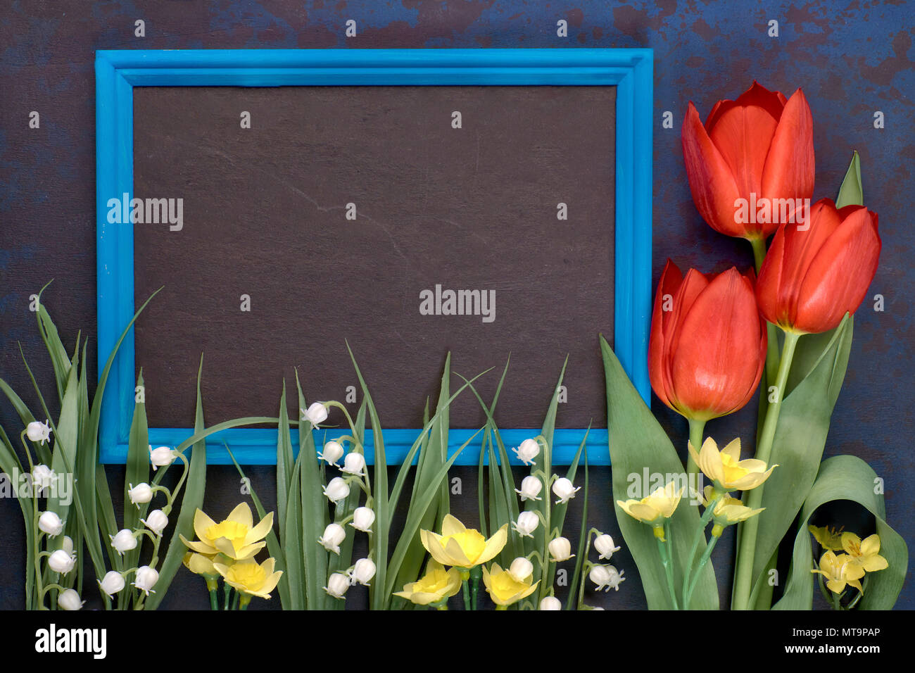 Blackboard in blue frame with red tulips and lily of the valley flowers ...